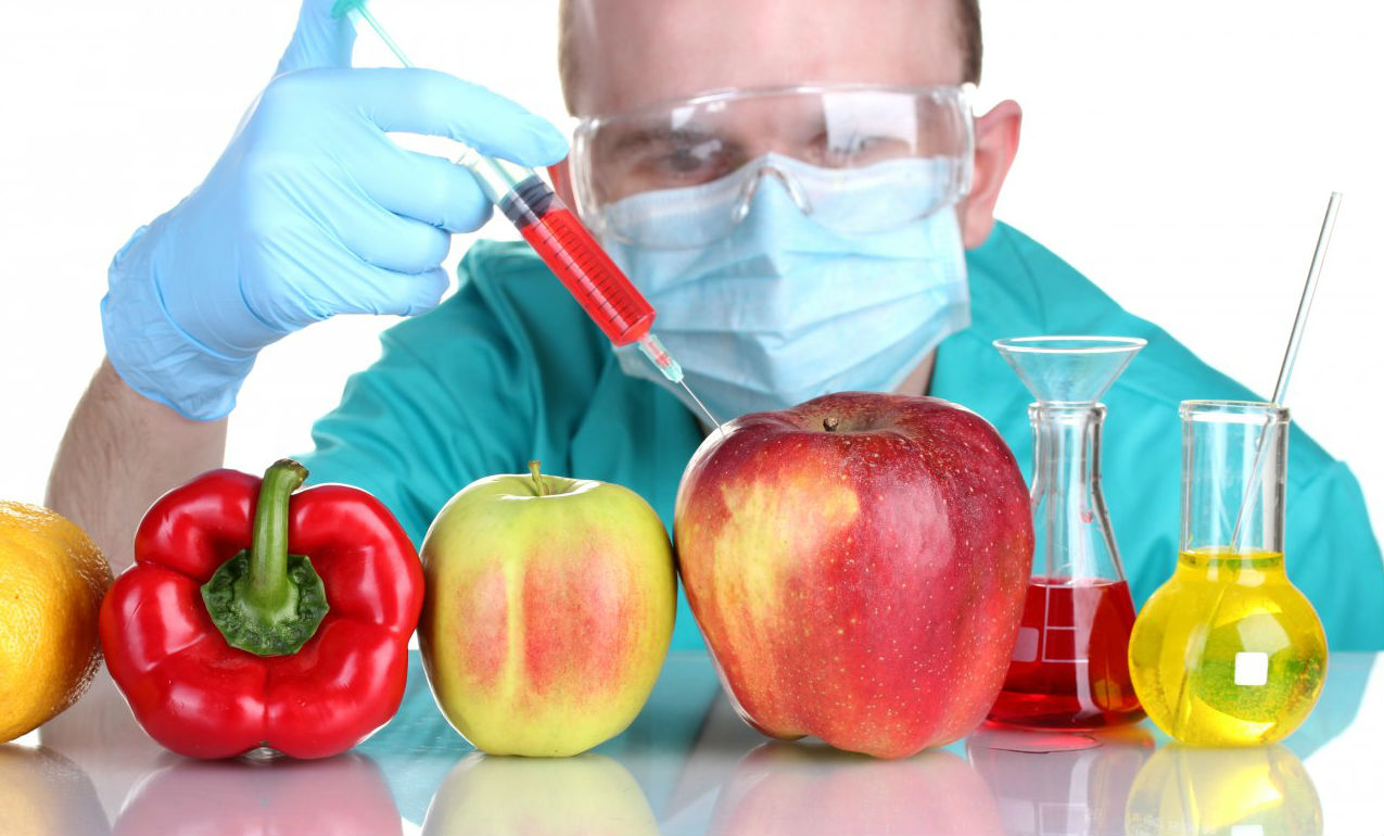 Produtos transgênicos completam três décadas de existência; saiba mais ...